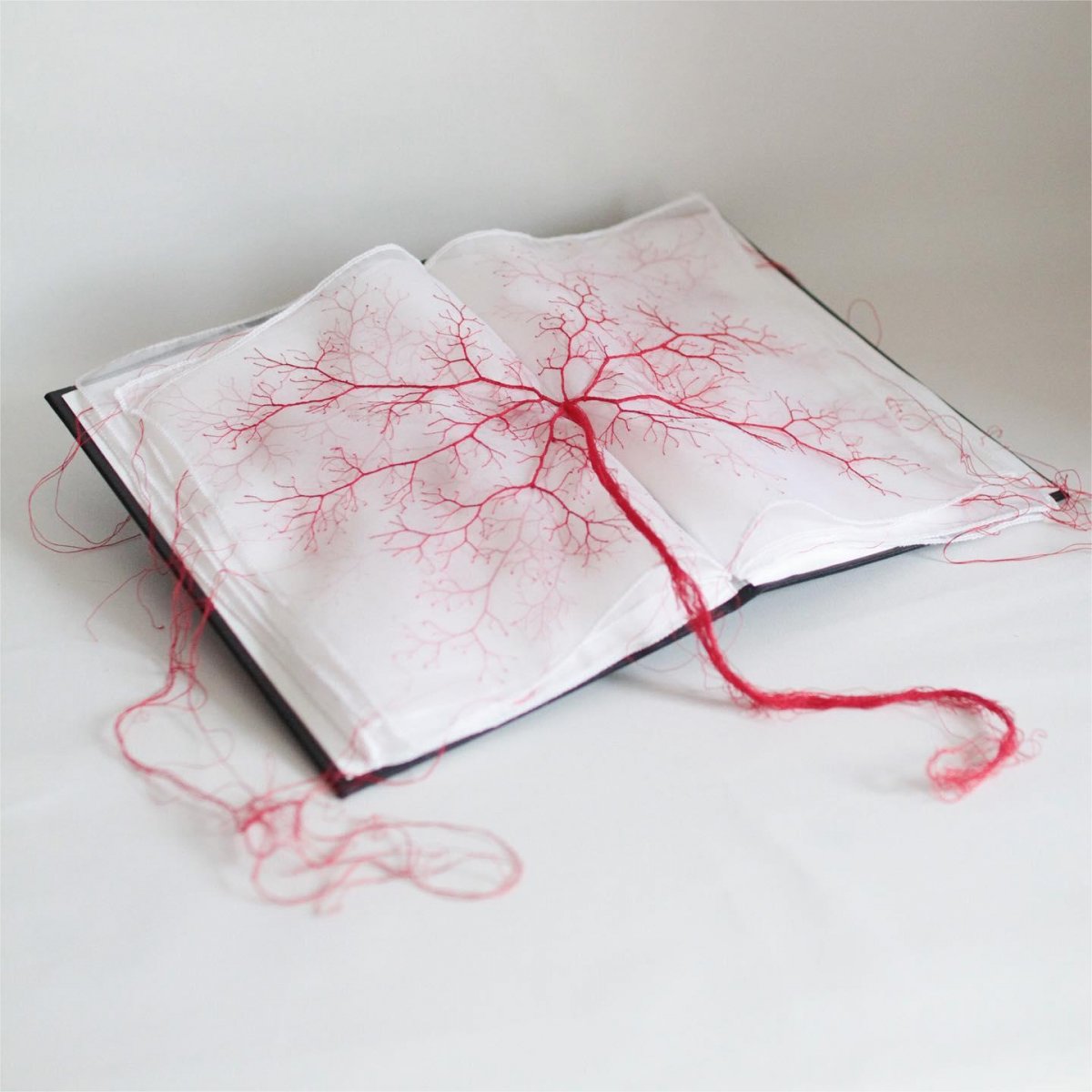 YINJISPACE - Japanese-american artist x Rima Day